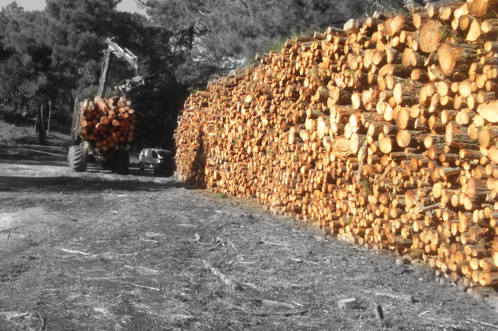 Splinter Energía – Splinter Energía